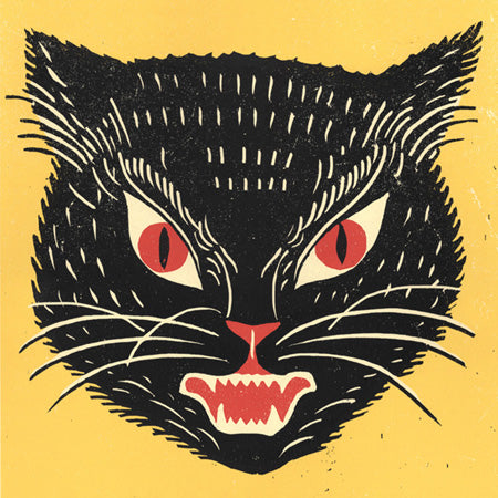 Collector Favorite All – Ravi Zupa Arts